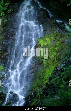 Wilson Falls along Wilson River Trail, Tillamook State Forest, Oregon ...