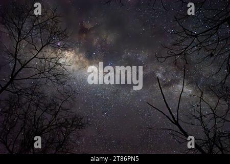 Pictures serie of the starry night over the Amazon Forest in Mato ...