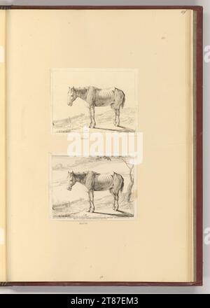 Heinrich Wilhelm Schweickhardt (Ausführende r Künstler in) Horse behind ...