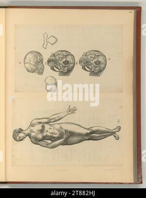 Vesalius Human Musculature Anatomy, 1 of 6 Stock Photo - Alamy