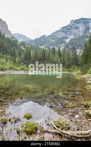 Trekking in the Rugova Valley, part of Kosovo's Accursed Mountains ...