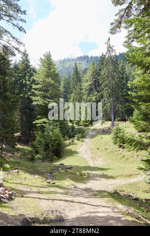 Trekking in the Rugova Valley, part of Kosovo's Accursed Mountains ...