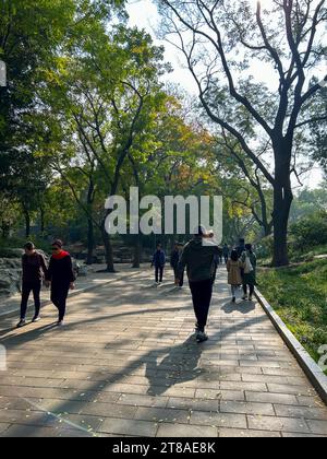 A crowd of people walking Stock Photo - Alamy