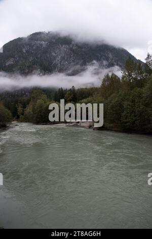 Grizzly watching at the banks of Orford River at British Columbia ...