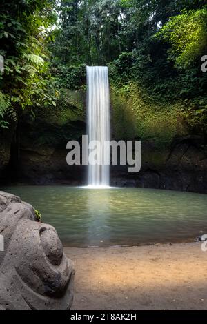 Tibumana Waterfall, a small wide waterfall in a green gorge, the river ...
