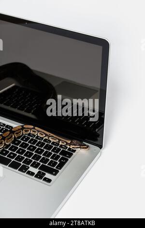 Python snakes and laptop computer. Concept of using high-level ...