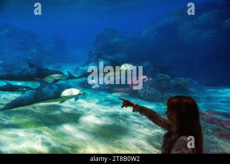 Viewing window at the New York Aquarium in Brooklyn, NY, USA Stock ...