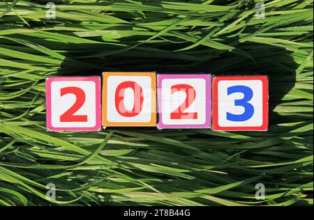 Inscription 2023. Toy square cubes and numbers on the grass surface ...