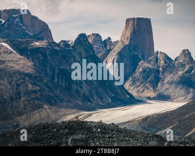 Mount Asgard, Akshayuk Pass, Baffin Island, Canadian Arctic Stock Photo ...