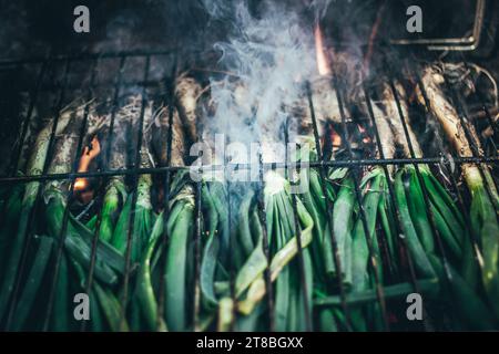 Calçots, a young Catalan onion. "Calçotada". typical catalan food. They ...