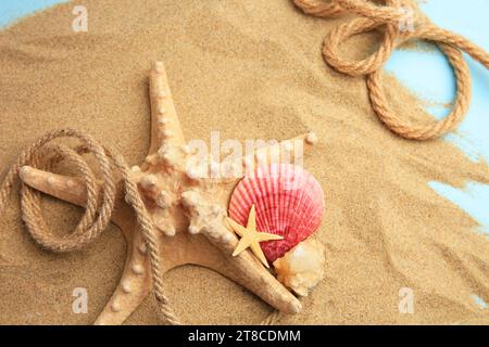 Beautiful starfishes, sea shells, rope and sand on light blue ...