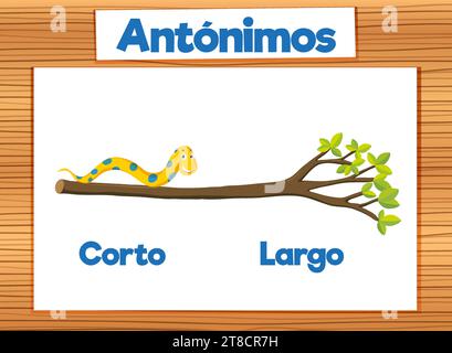 Illustrated picture word cards in Spanish for teaching the antonyms ...
