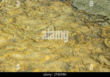 Ancient sand ripples frozen in time. These Jurassic sandstones give an ...