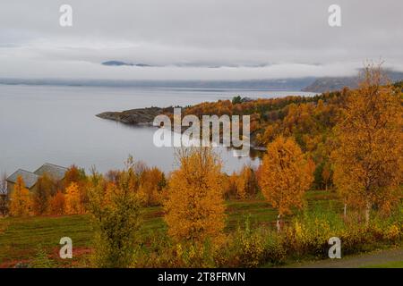 Autumn colours in Alta, Finnmark, Norway Stock Photo - Alamy