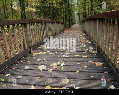 Autumn time in the german muensterland Stock Photo - Alamy