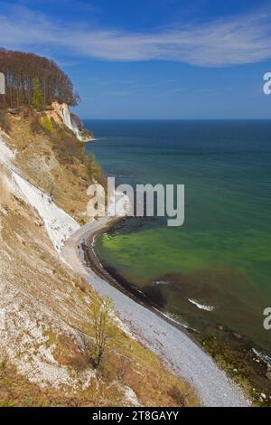 Eroded white chalk cliffs and pebble beach in Jasmund National Park on ...