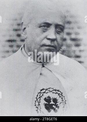 Father Pamphile de Veuster Stock Photo - Alamy