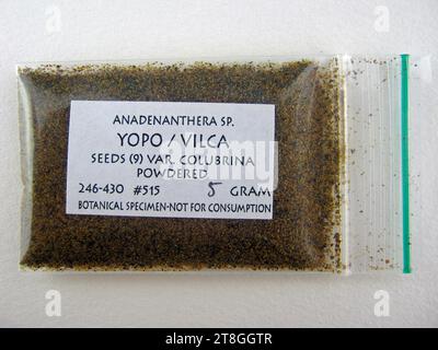 (Anadenanthera colubrina cebil Stock Photo - Alamy