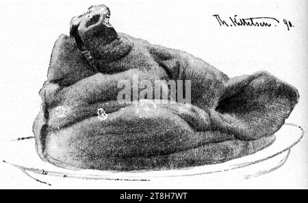 Vaart foerste syltehode - pickled pig head on platter - 1890 Stock ...