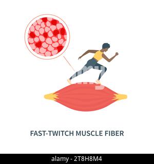 Fast twitch white muscle fiber type illustration Stock Vector Image ...