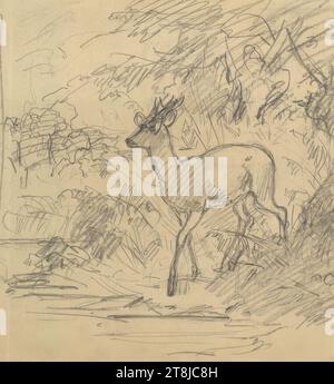 Roebuck by the water, Ludwig Gustav Voltz (Augsburg 1825 - 1911 Munich ...