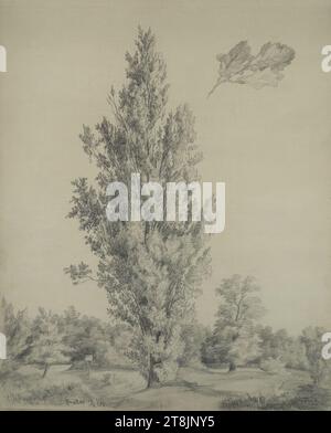 Ludwig Rösch Tree and leaf study. Coal 1882 , 1882 Stock Photo - Alamy
