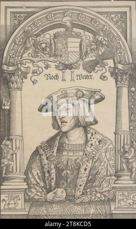 Hans Weiditz Portrait of Emperor Charles V .. Woodcut and type print ...