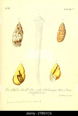 . Vergnügen der Augen und des Gemüths : in Vorstellung einer ...