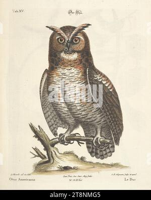 Verzameling van uitlandsche en zeldzaame vogelen (Tab. XV) (7894148912 ...
