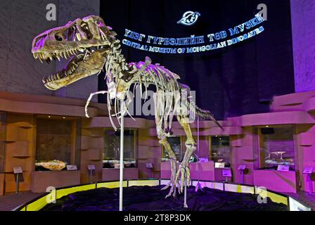 Tarbosaurus bataar dinosaur skeleton Stock Photo - Alamy