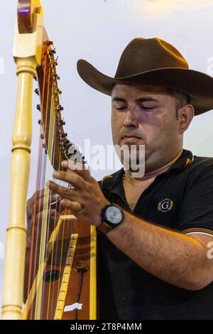 Musician playing the harp, portrait, La Macarena, Colombia Stock Photo ...