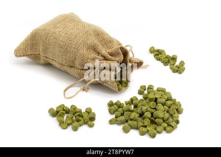 Small jute bag with pile of green hops pellets on white background ...