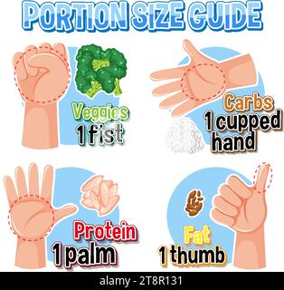Comparing food amounts using hand portion sizes Stock Vector Image ...