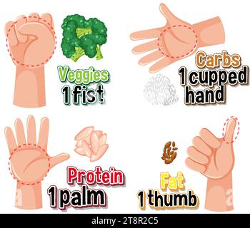 Comparing food amounts using hand portion sizes Stock Vector Image ...
