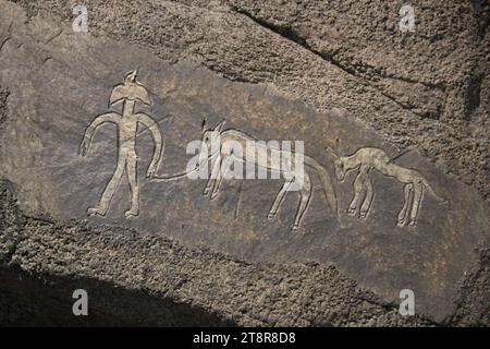 Tibetan Cliff Animal Carvings, Tibetan History Gallery, Tibet Museum ...