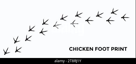 Footpath trail of rooster. Chicken footprint seamless pattern Stock ...