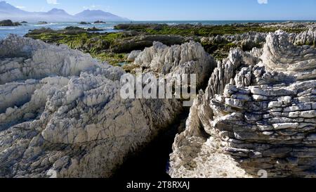 Folded Limestone Kaikoura. NZ, Oligocene tilted folded vertical ...