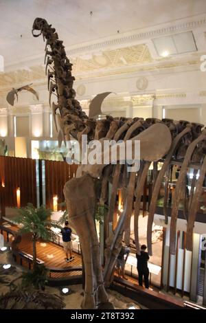 Huanghetitan Skeleton, Land Bank Exhibition Hall, National Taiwan ...