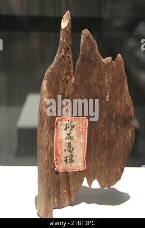 Incense from Various Regions, Special Exhibit, Agarwood and the Culture ...