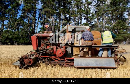 Threshing & Winnowing Corn Stock Photo - Alamy