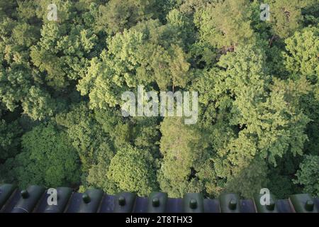 Zijin Shan, Nanjing, China: View From Linggu Pagoda, Burial site of ...