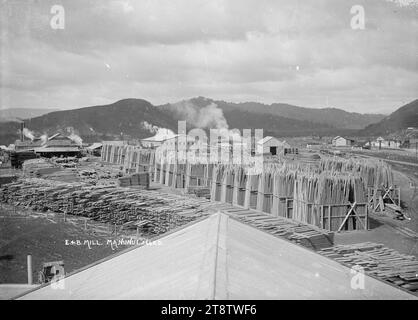 The Ellis and Burnand Timber Mill in Manunui is an important historical ...