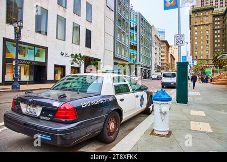 SFPD patrol vehicle beside white and blue fire hydrant with rainbow ...