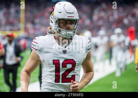 Arizona Cardinals punter Blake Gillikin gets ready to punt the ball ...