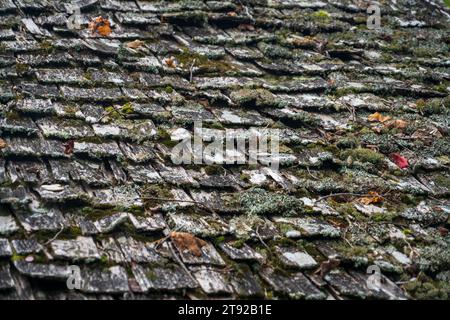 Historic Cabin Roof Texture at The Great Smoky Mountains National Park ...