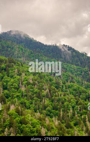 Overlook on a Moody Day at the Great Smoky Mountains National Park in ...