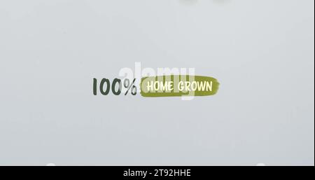 Composite of 100 percent vegan text over fresh fruit in water with copy ...