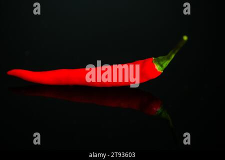 red chilli pod on black background Stock Photo - Alamy