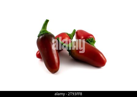 Rainbow gradient of green to red ripe jalapeno peppers Stock Photo - Alamy