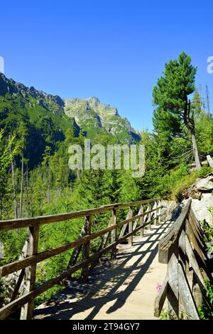 The Velka Studena dolina valley in Slovakia on a sunny day Stock Photo ...